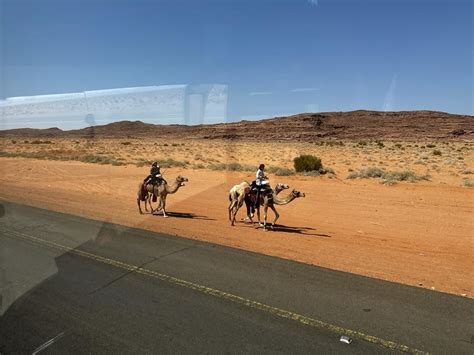 Second NEOM Training Builds Capacity For 5 Star Roads In World S First