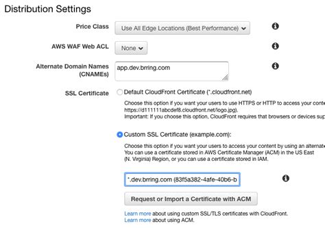 Setting Up A Static Web App With Aws Boxpeg