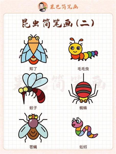 昆虫简笔画图片大全彩色 昆虫简笔画图片大全彩色又简单 画趣文库（我爱生活）