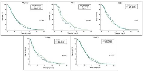 Csf3r Expression × Survival 25th Percentile For Each Molecular Group