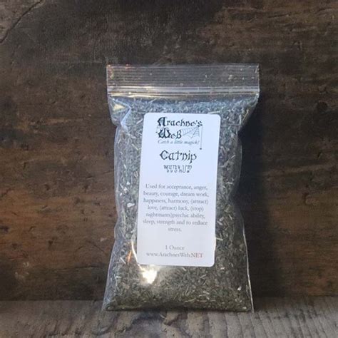 Catnip Herb For Magic Arachnes Web
