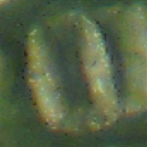 Mask R Cnn Segmentation Instance Segmentation Dataset By Ratry