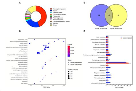 Function Annotation And Enrichment Analysis Of Target Transcripts Download Scientific