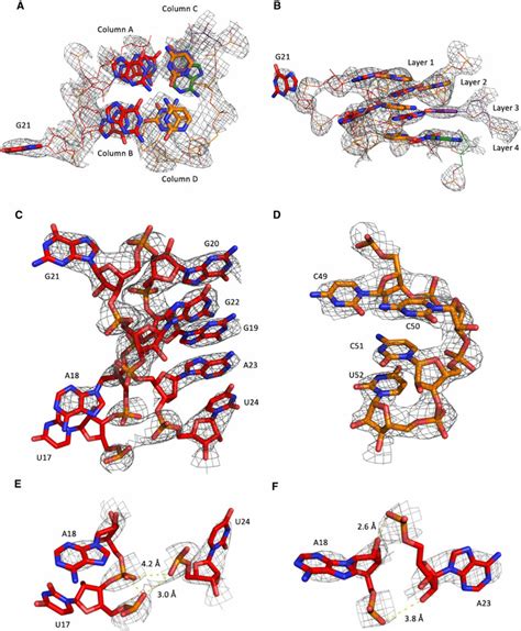 Core Motif Created By Long Range Interactions Between The G Domain And
