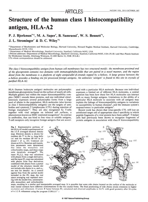 Pdf Structure Of The Human Class I Histocompatibility Antigen Hla A2