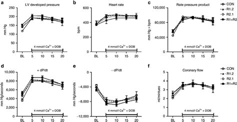 Overexpression Of Human Rrm1 And Rrm2 Proteins Does Not Impair The