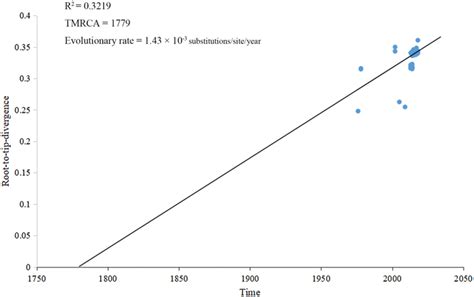 Maximum Likelihood Phylogenetic Tree Constructed Based On GII 17 VP1