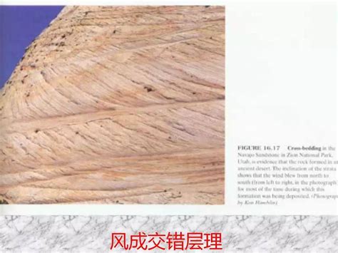 构造地质学丨沉积岩层的基本产状和原生构造 搜狐