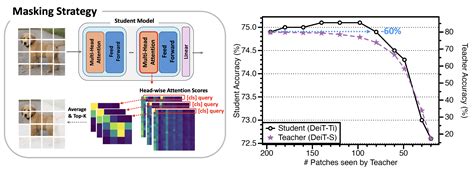 The Role Of Masking For Efficient Supervised Knowledge Distillation Of Vision Transformers