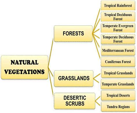 methods of vegetation qualitative plantlet