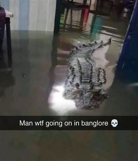 Bangalore Floods 2022 Bangalore India Floods Know Your Meme