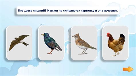 Перелетные птицы весной презентация онлайн