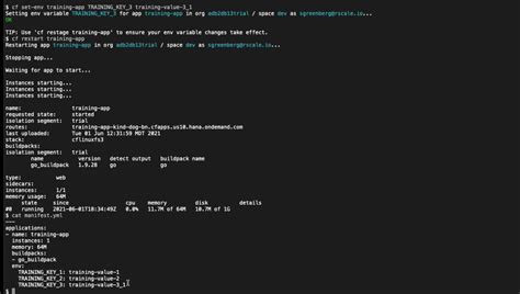 Cloud Foundry 3 Cf 命令（1） 阿里云开发者社区