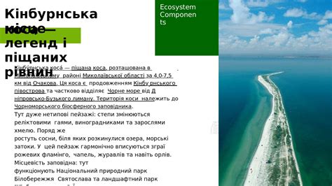 Презентація Природа Миколаївської області Презентація Географія