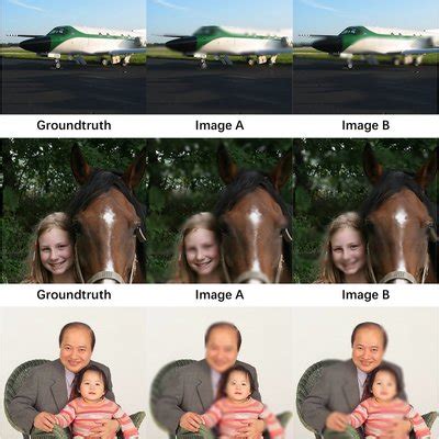 Partial Images Of Data Set And Generated Images After Random Blur