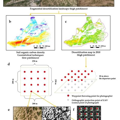 flowchart of uav flight settings fractional vegetation cover fvc