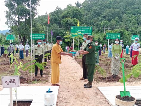 မိုင်းနောင်မြို့တွင် ၂၀၂၂ ခုနှစ် မိုးရာသီ လူထုစုပေါင်းသစ်ပင်စိုက်ပ