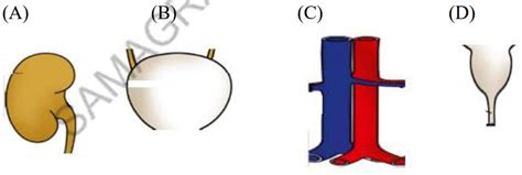 Std 7 Science Chapter 7 Mcq Gujarati ધોરણ 7 વિજ્ઞાન પાઠ 7 Mcq