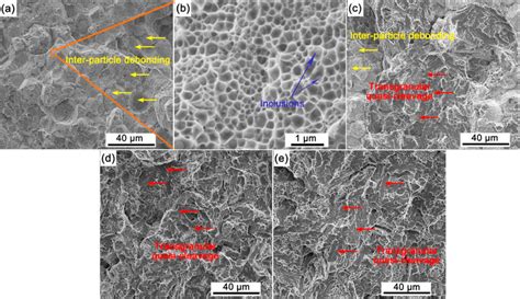 E Sem Micrographs Of Tensile Fracture Surfaces Of The Powder Compacts