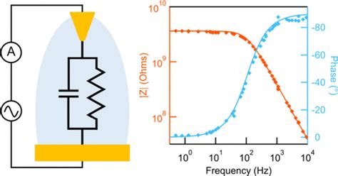 Impact Of Solvent Electrostatic Environment On Molecular Junctions Probed Via Electrochemical