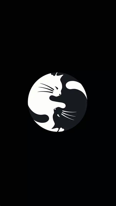 黑白猫 太极猫 可爱 猫咪 堆糖美图壁纸兴趣社区