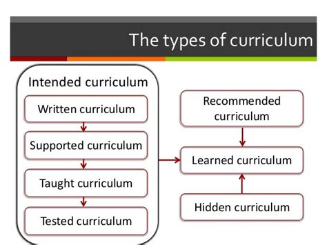 International Experience In Informatics Curriculum Development