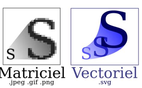 Rappels Svg But Sd Cours Programmation Web Dataviz Observable