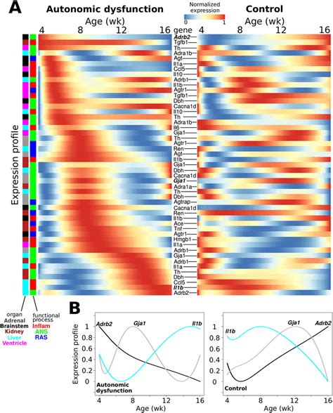 Autonomic Dysfunction Is Associated With A Disease Specific Regulatory Download Scientific