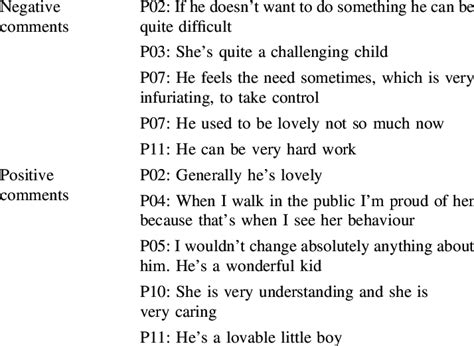 Examples Of Positive And Negative Comments Download Scientific Diagram
