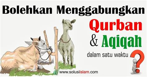 Hukum Menggabungkan Aqiqah Qurban Satu Niat Tempat Berkongsi Ilmu
