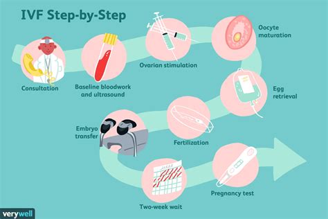 The Basics Of In Vitro Fertilization IVF A Comprehensive Guide Latest Business Fashion