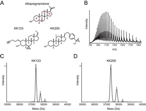 Figure 1 From The Molecular Determinants Of Neurosteroid Binding In The