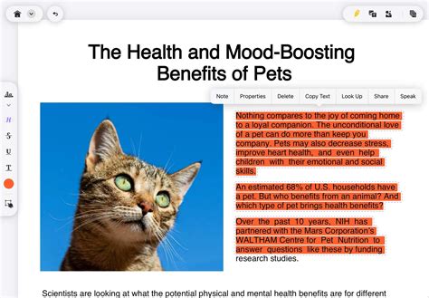 Come Evidenziare I Pdf Su Ipad Updf