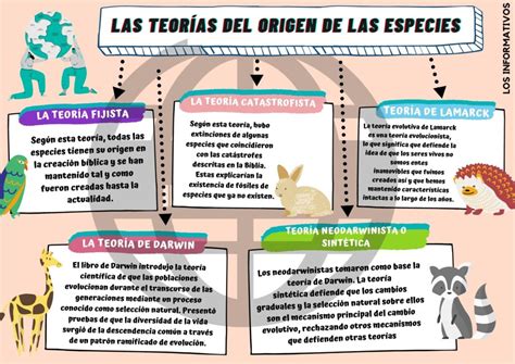 Organizador gráfico sobre las teorías del origen de las especies Los