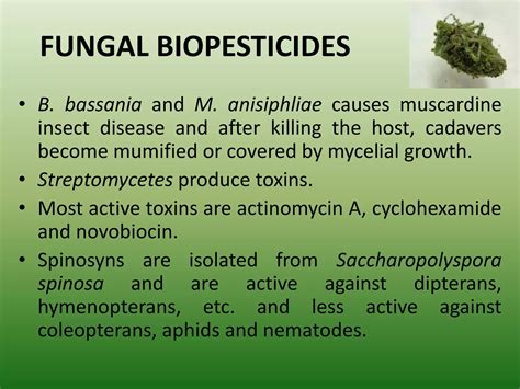 Biopesticides Pptx