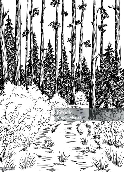Hutan Jalan Grafis Hitam Putih Vertikal Lanskap Sketsa Ilustrasi Vektor