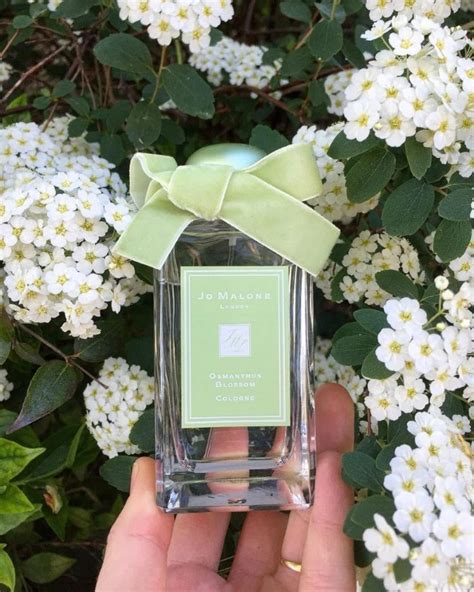 現貨 熱爆款 Jo Malone 桂花 Osmanthus Blossom香水100ml 美容＆化妝品 沐浴＆身體護理 沐浴及身體護理