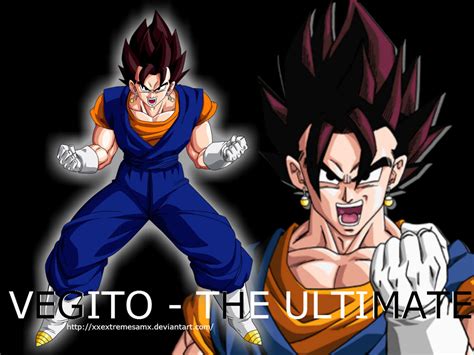 Vegito Base Form Wallpaper By Xxextremesamx On Deviantart