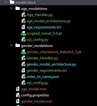 Error Serving Two Models Simultaneously Issue Pytorch Serve
