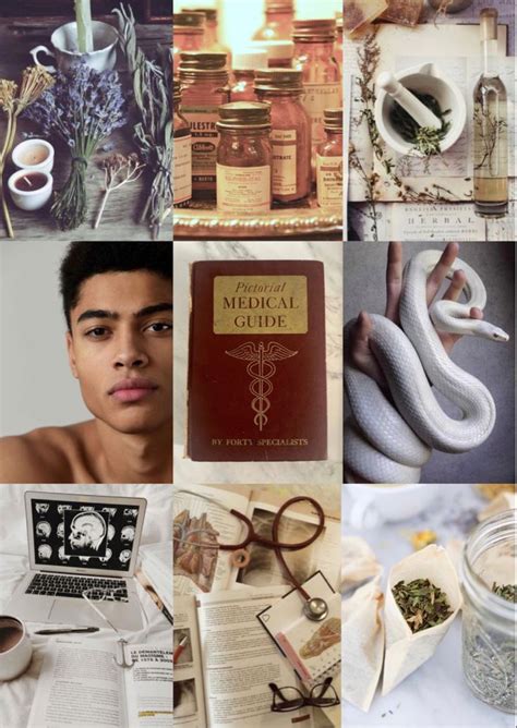Asclepius Greek Gods Greek Mythology Gods Greek Gods And Goddesses