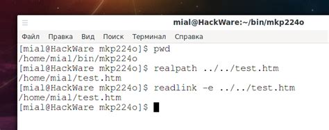 Как в Bash узнать абсолютный путь до файла