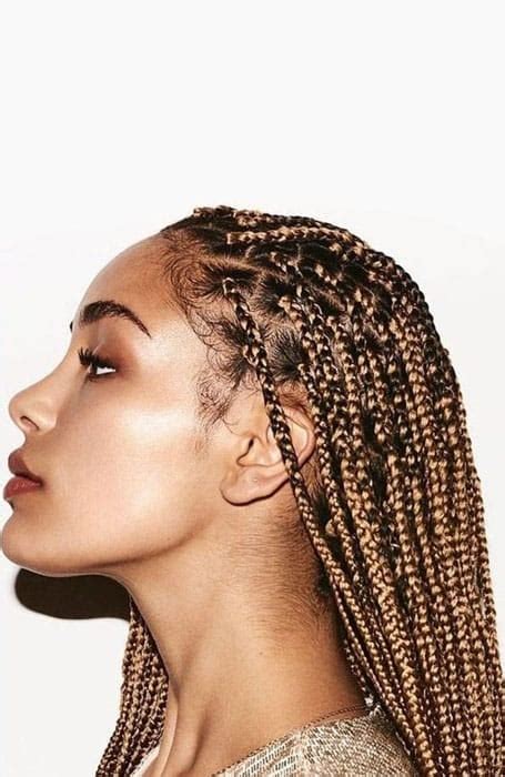 25 Micro Braids Hairstyles To Copy In 2024 The Trend Spotter