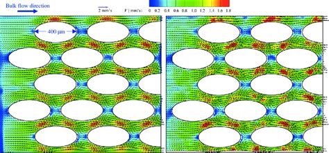 Velocity Vector Field Overlaid With Velocity Magnitude Contours