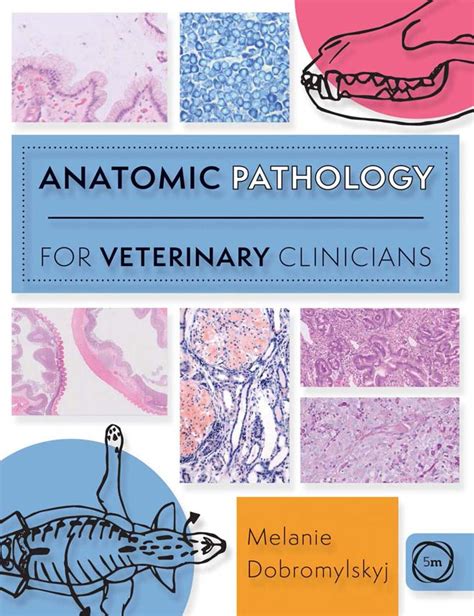 Anatomic Pathology For Veterinary Clinicians Vetbooks