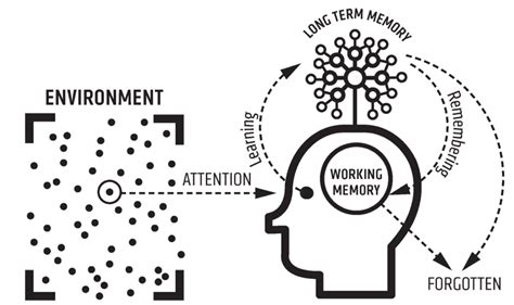 Teaching For Understanding Schema Building And Generative Learning