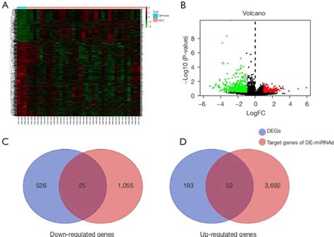 Identification Of Intersection Genes Between Degs And Downstream Target