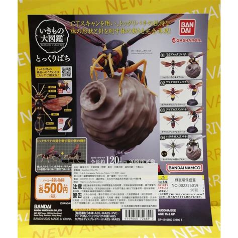 【阿弟玩具 現貨】 Bandai 轉蛋 環保扭蛋 生物大圖鑑 德利蜂 蜾贏 蝦皮購物