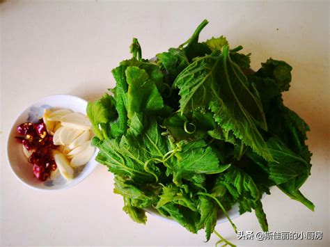 七月女人别放过这菜，好吃又便宜，隔三差五吃清热排毒肠道畅通了 搜狐大视野 搜狐新闻