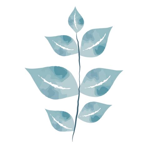 Diseño Png Y Svg De Hojas Lindas Acuarela Para Camisetas