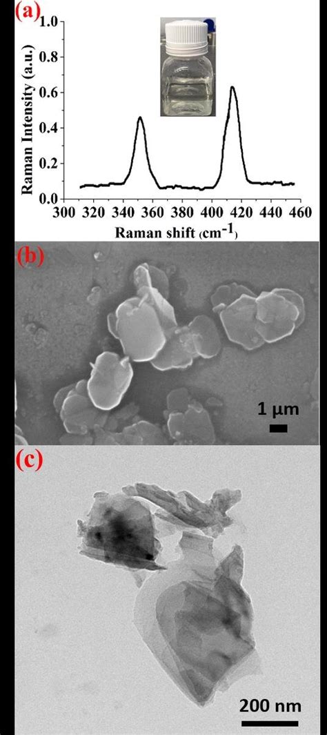A The Raman Spectrum B The Sem Image Of The Ws2 Nanosheets C